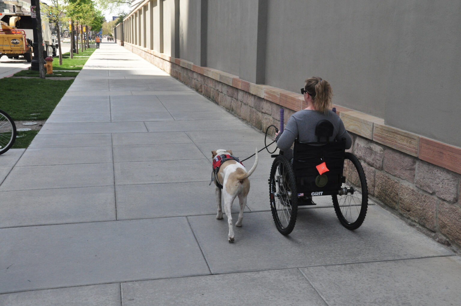 Tips and Tricks for Walking a Dog from a Wheelchair - GRIT Blog and ...