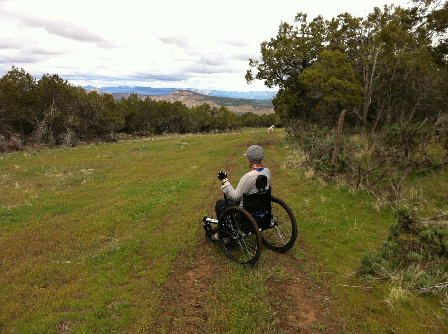 Wheelchair Hiking for the Modern Adventurer - GRIT Blog and Knowledge Base